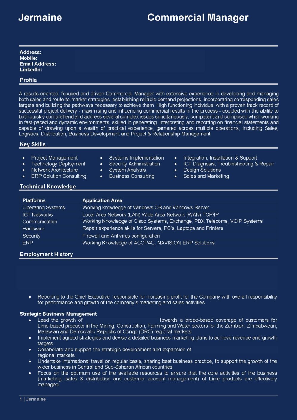 Commercial Manager CV - My Professional CV