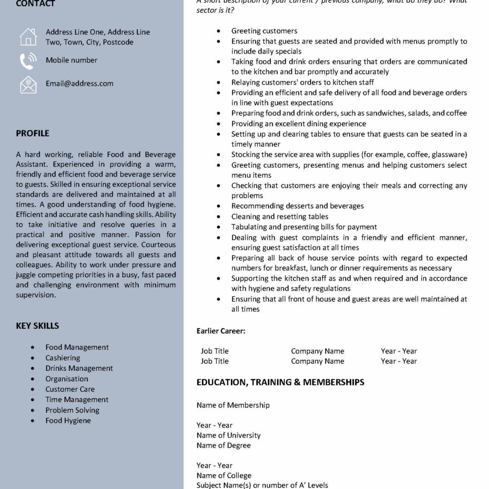 CV Template Archives My Professional CV