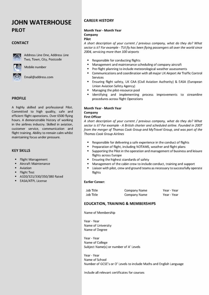 Pilot CV Template - My Professional CV