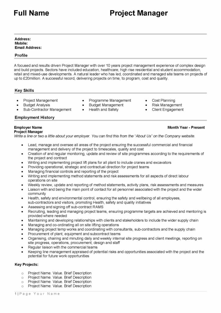 Project Manager CV Template - My Professional CV